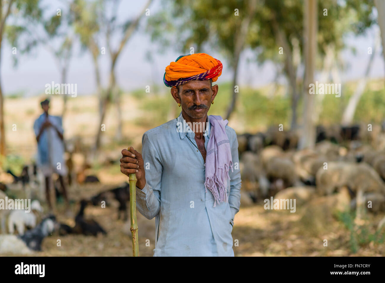 Rajasthani shepherd hi-res stock photography and images - Alamy