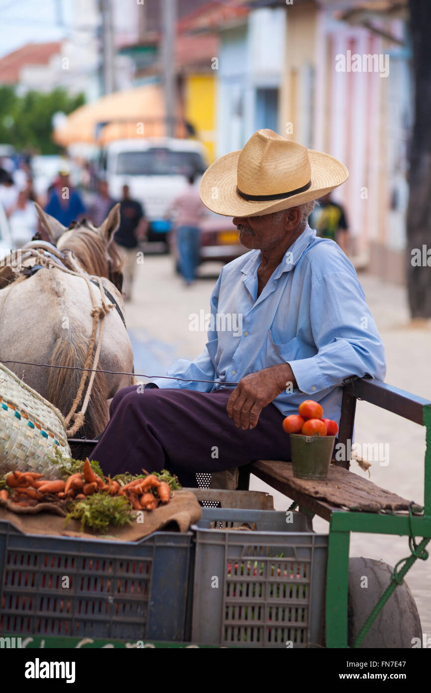 Daily life in Cuba - Cuban man with vegetables riding horse and cart ...