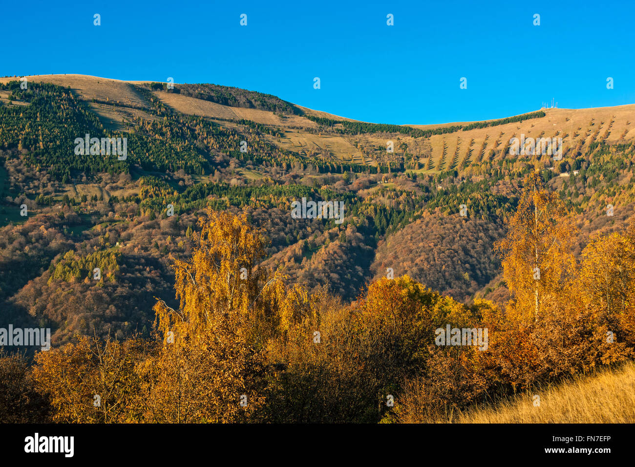 Monte cesen hi-res stock photography and images - Alamy