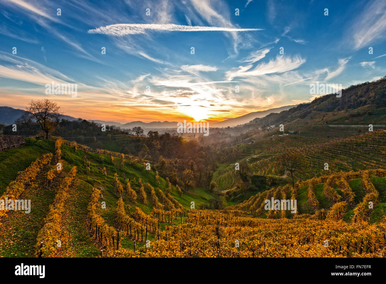 Italy Veneto Prealpi Trevigiane Dintorni di Rolle - landscape and ...