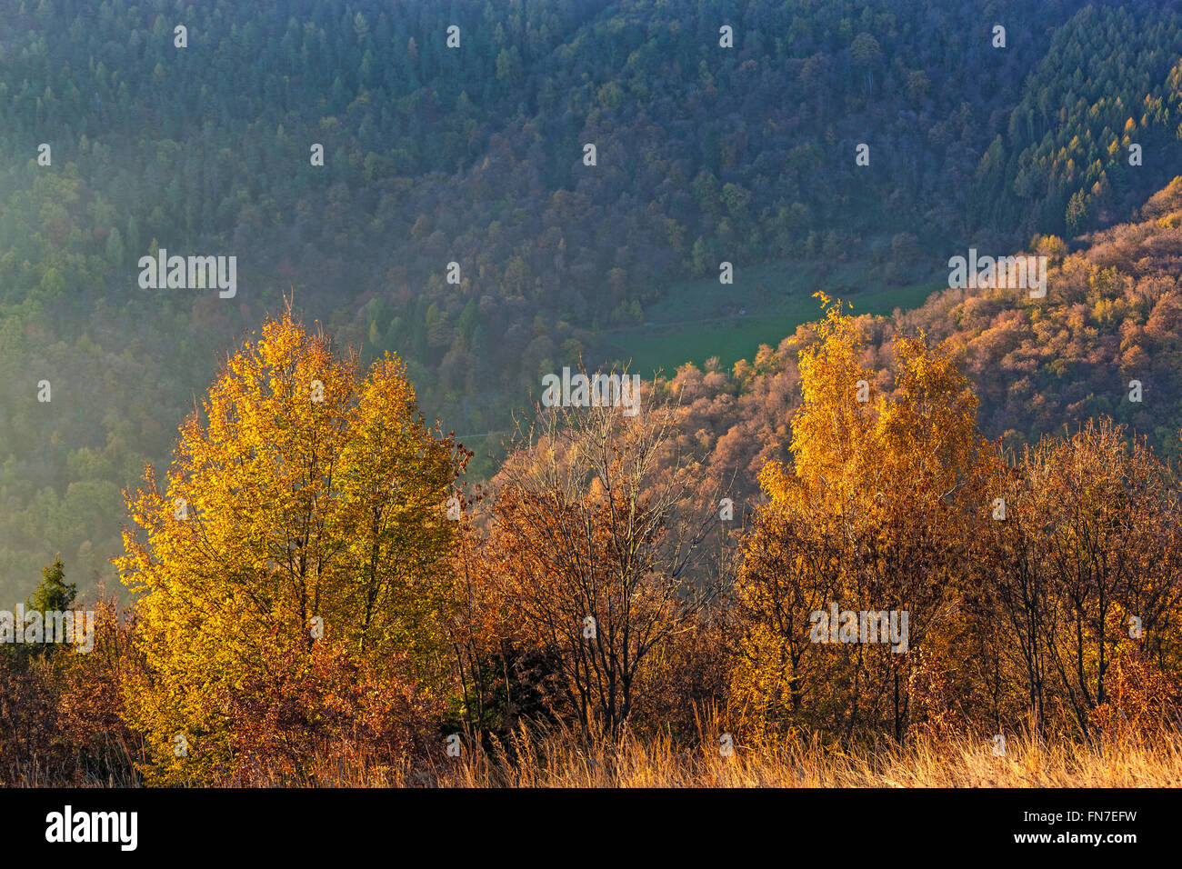 Monte cesen hi-res stock photography and images - Alamy