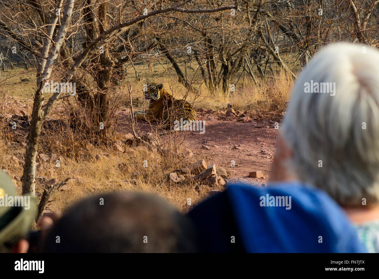 Ranthambore National Park Stock Photo - Alamy