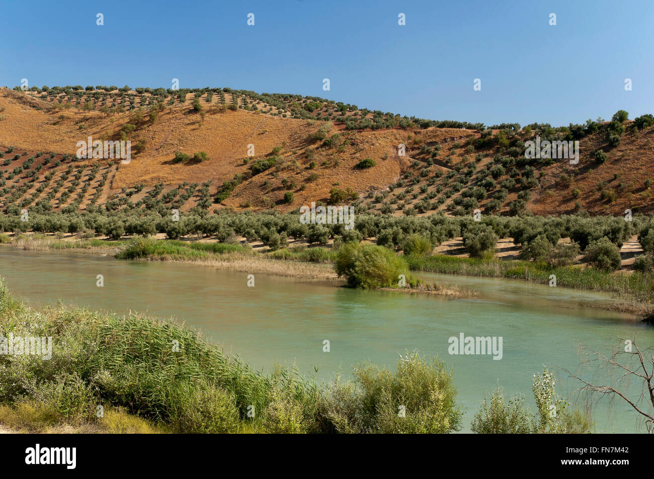 Genil river, Cuevas de San Marcos, Malaga province, Region of Andalusia ...