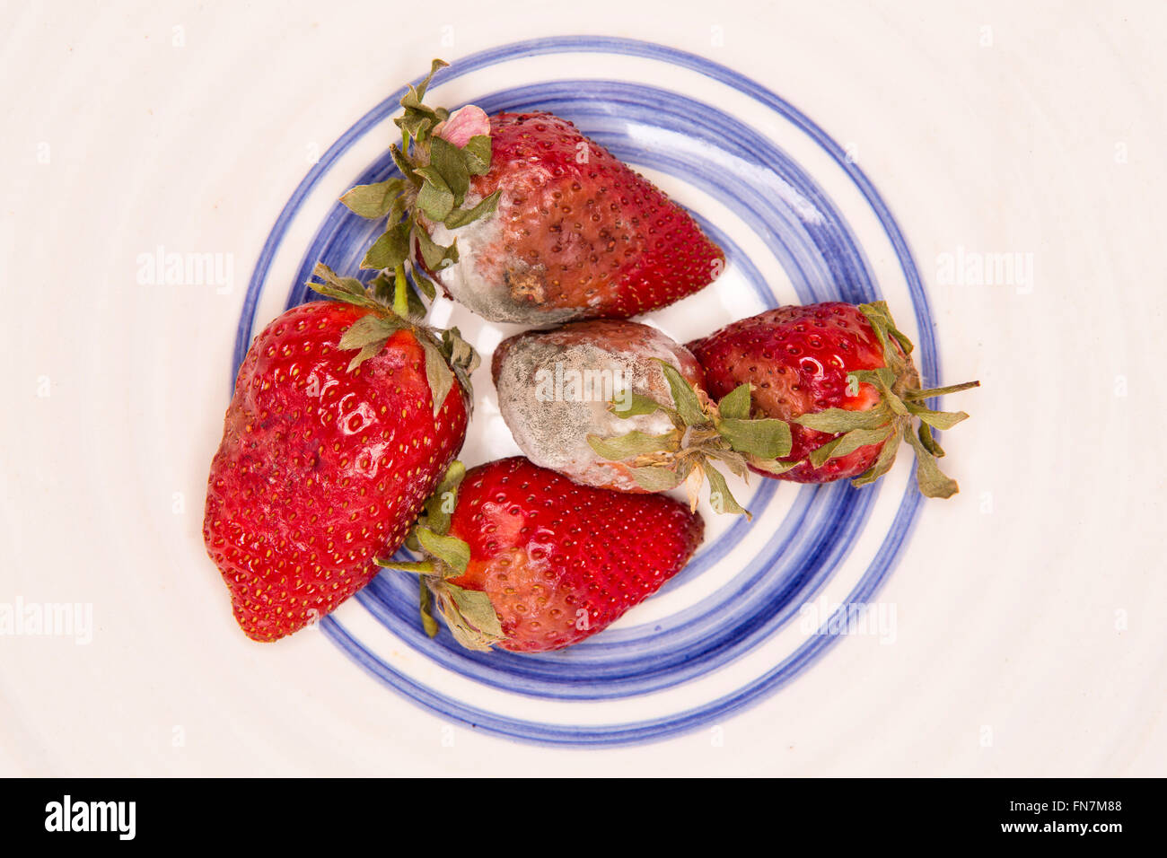 Food gone off hi-res stock photography and images - Alamy