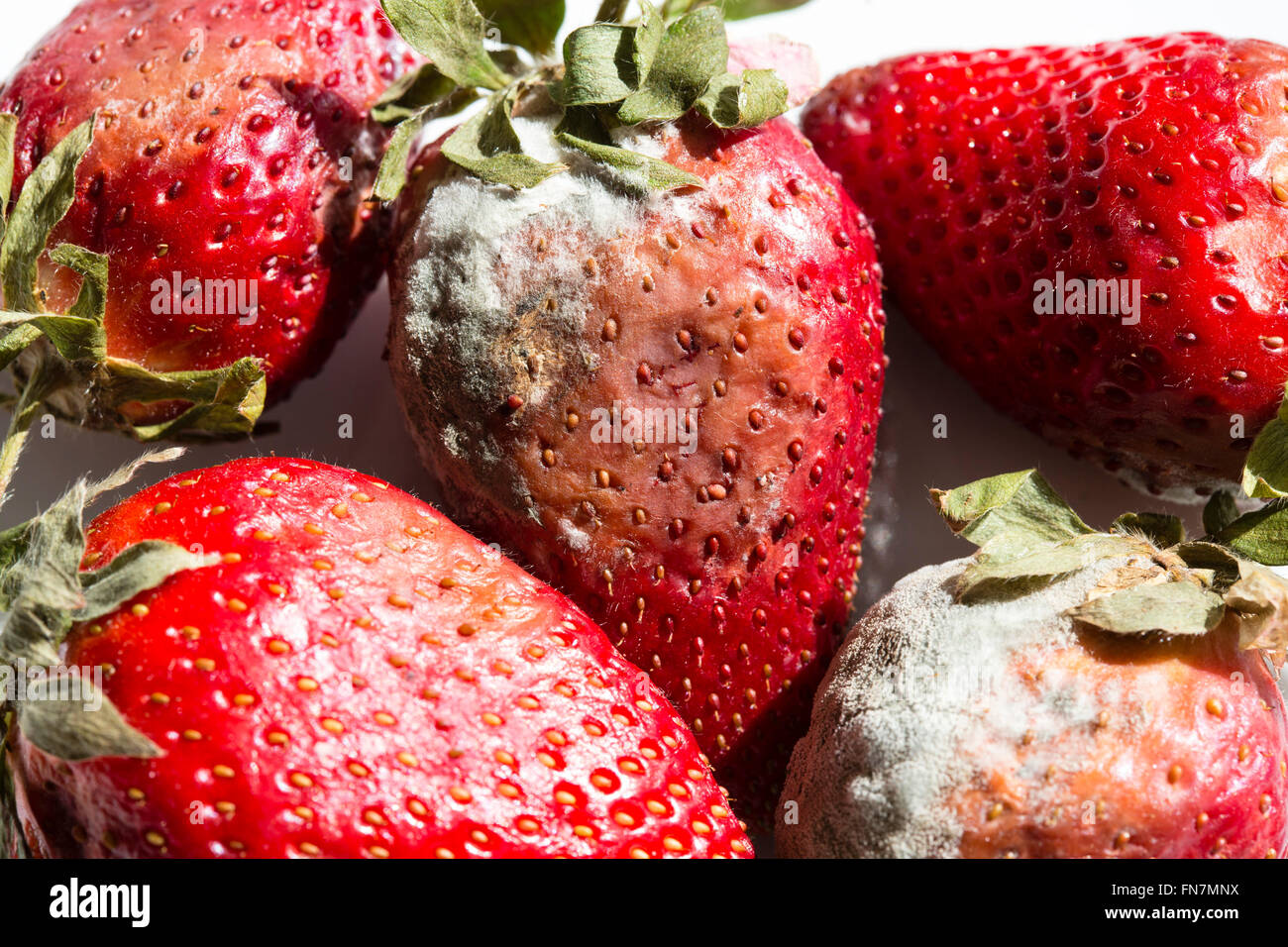 Gone off fruit hi-res stock photography and images - Alamy