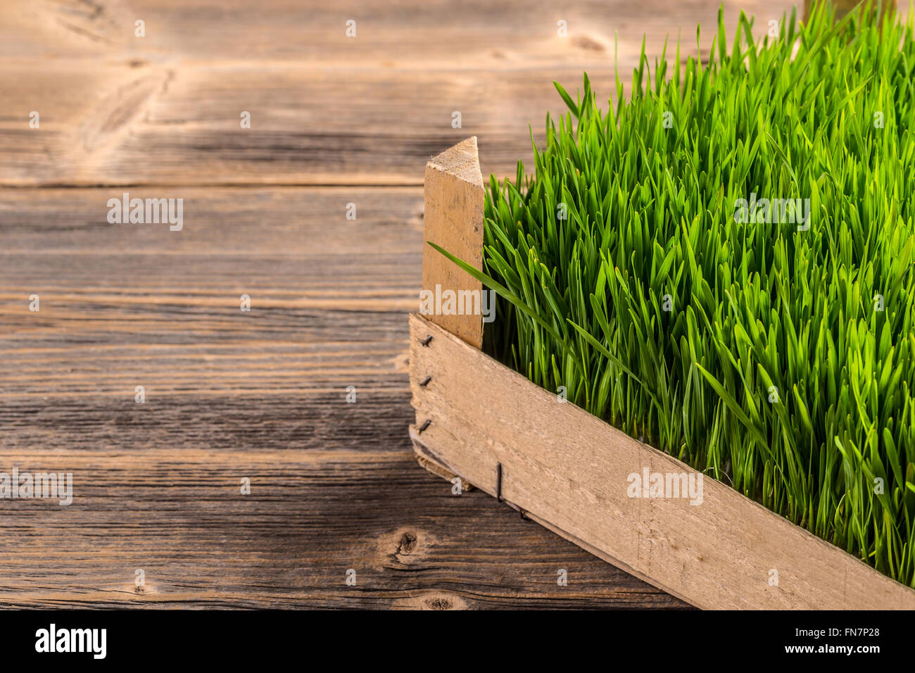 Wheat leaf hi-res stock photography and images - Alamy