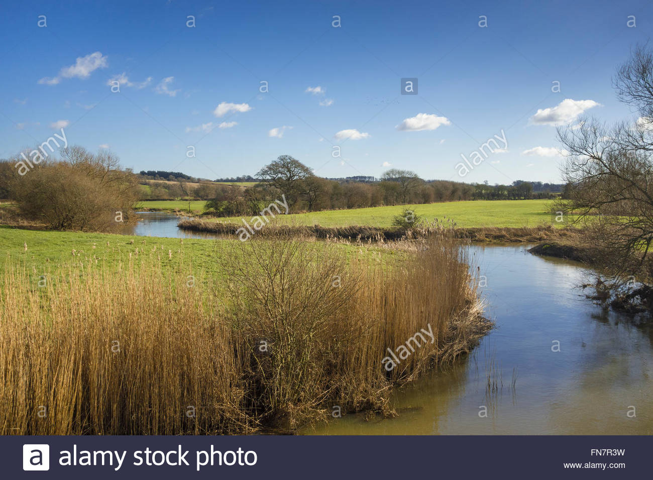 River Stour Winter Stock Photos & River Stour Winter Stock Images - Alamy