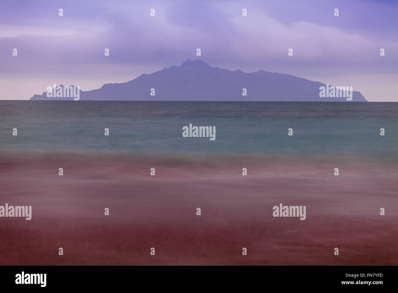 Spyridia filamentosa hi-res stock photography and images - Alamy