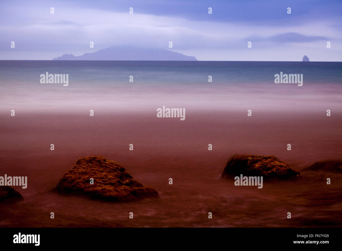 Red Algae In The Sea, Waipu Cove, Waipu, Bream Bay, Northland, New ...