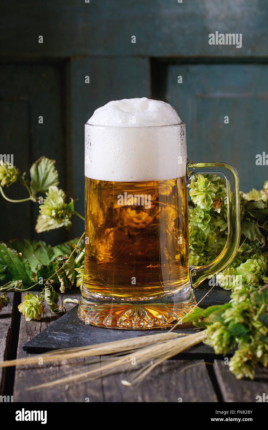 Mug of lager beer Stock Photo - Alamy