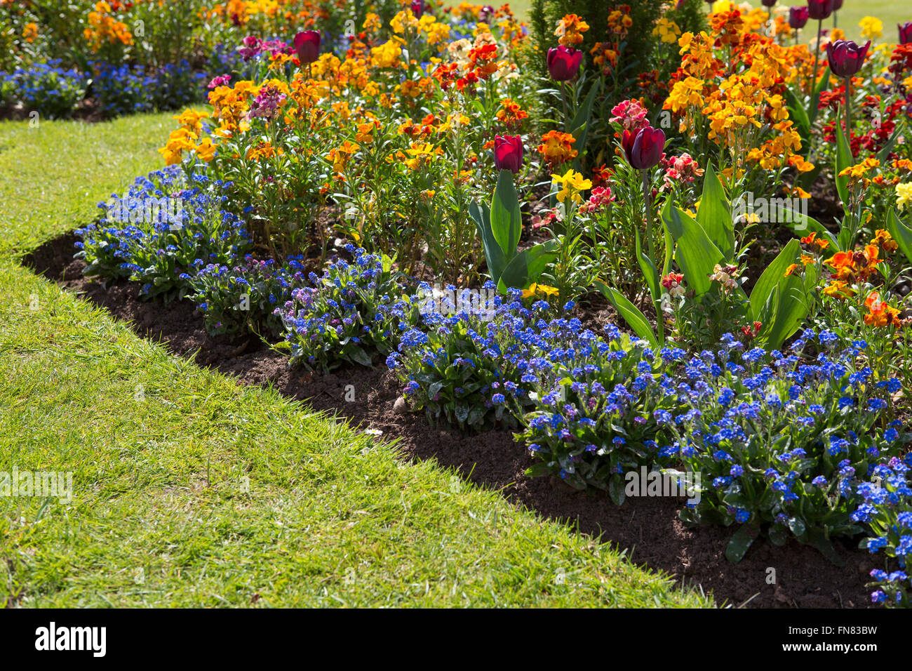 Spring flowers decorate the borders and flower beds of a garden Stock ...