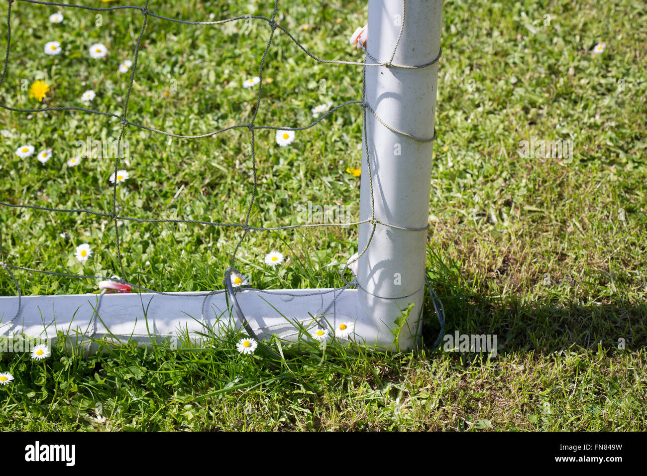 Detail of a child's plastic goal post set in a grassy flower strewn ...