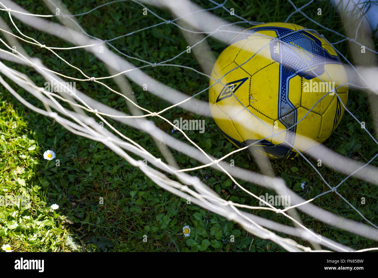 Detail of a child's goal post set, et amdn football in a grassy flower ...