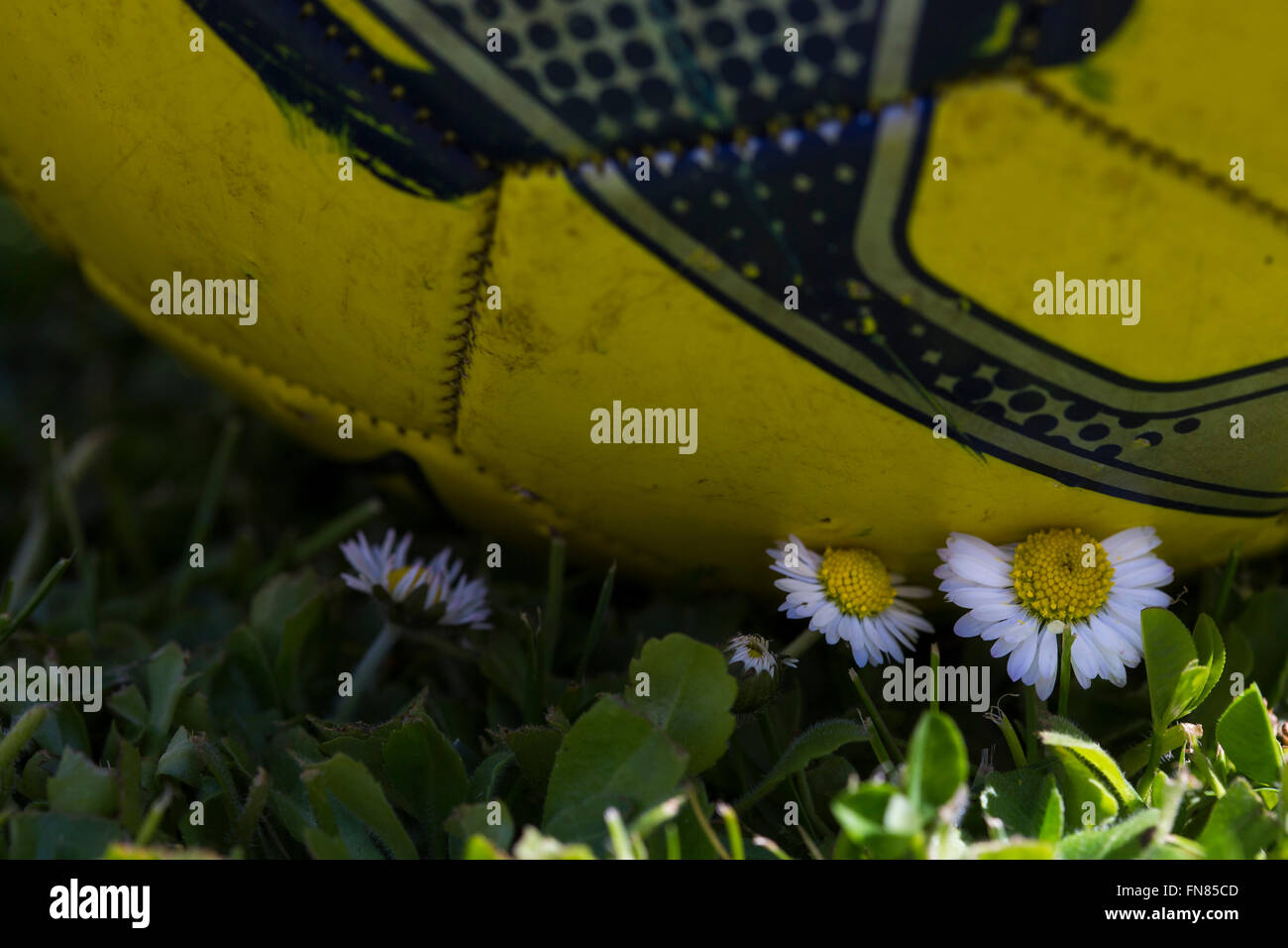Detail of a child's goal post set, et amdn football in a grassy flower ...