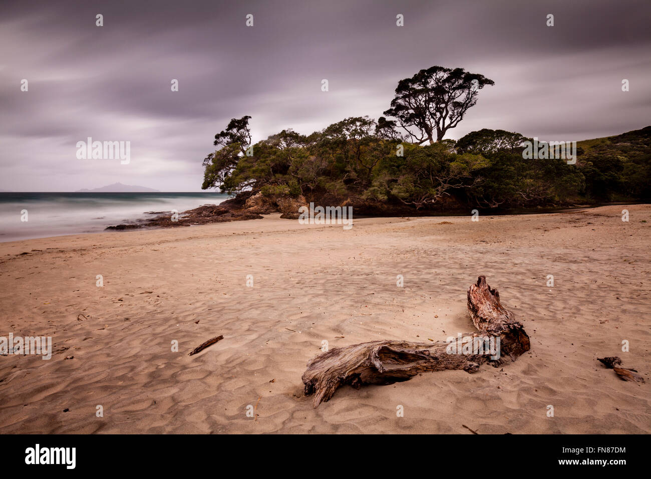 Waipu Cove, Bream Bay, Northland, New Zealand Stock Photo - Alamy