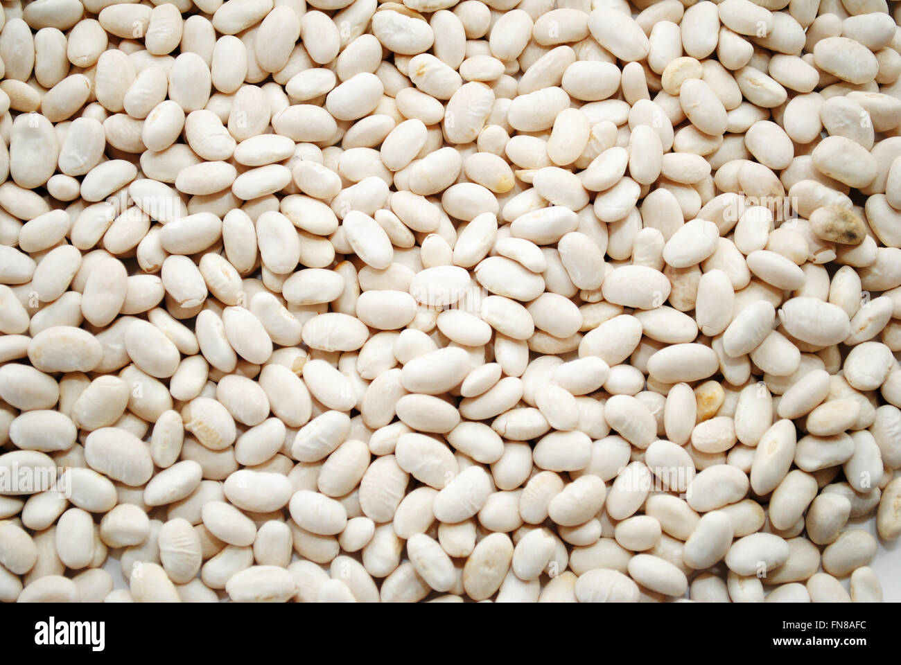 Background of Great Northern White Beans Stock Photo - Alamy