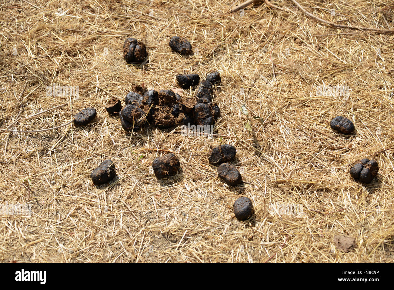 Narobi national park hi-res stock photography and images - Alamy