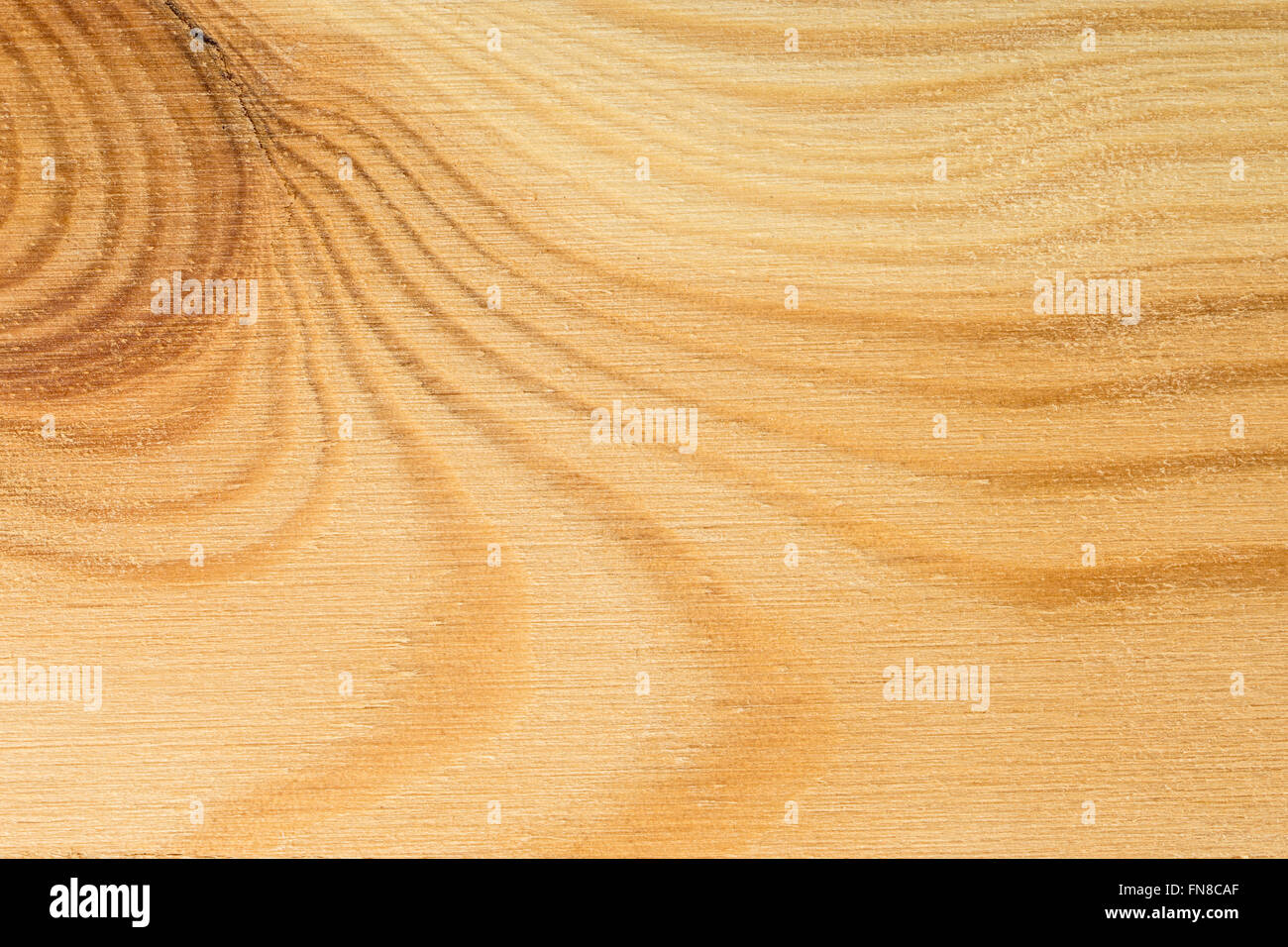 Pine tree texture. Wood background, light natural pattern Stock Photo ...