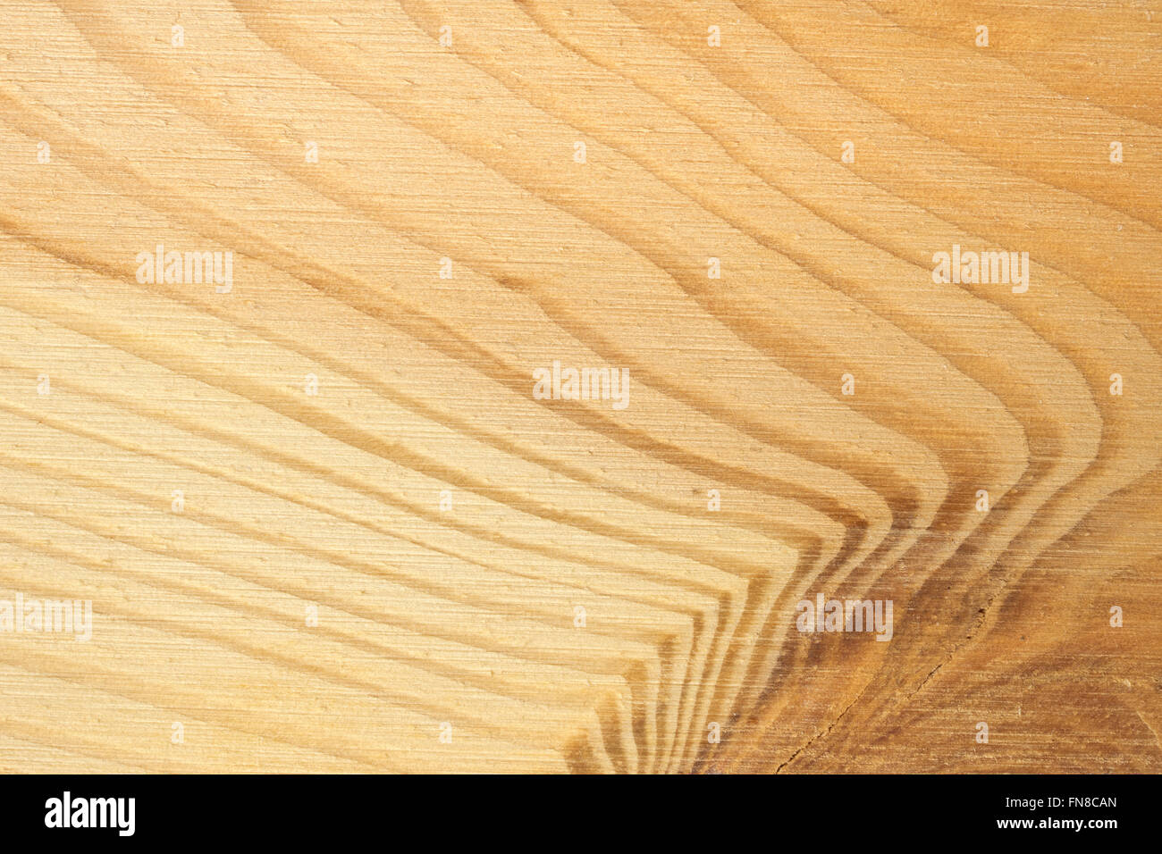 Pine tree texture. Wood background, light natural pattern Stock Photo ...