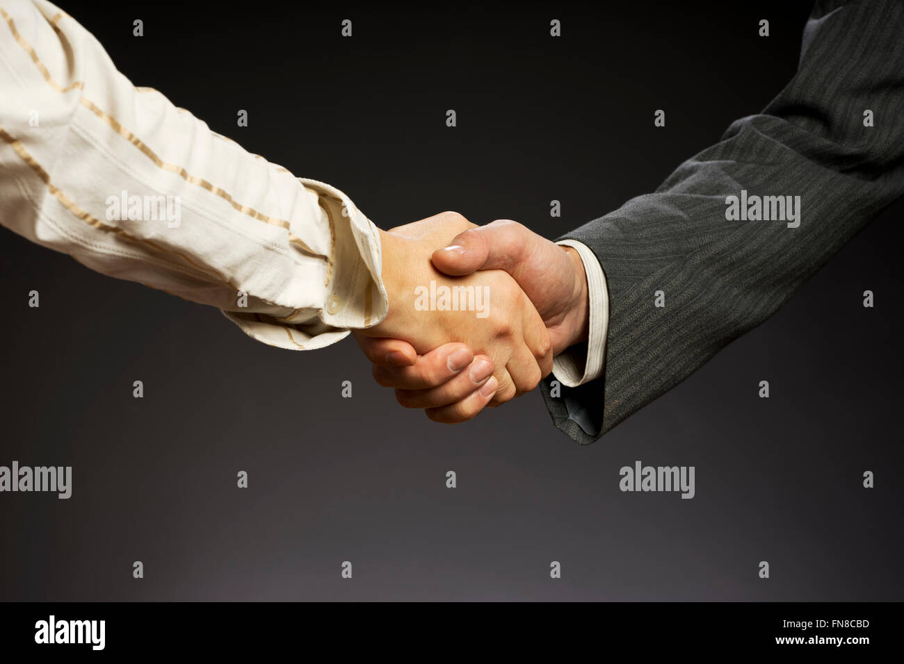 Deal, business handshake. Woman and man hand on a gray background Stock ...