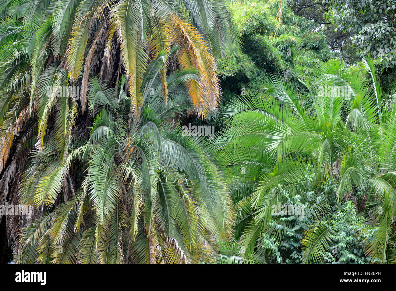 Westlands nairobi hi-res stock photography and images - Alamy