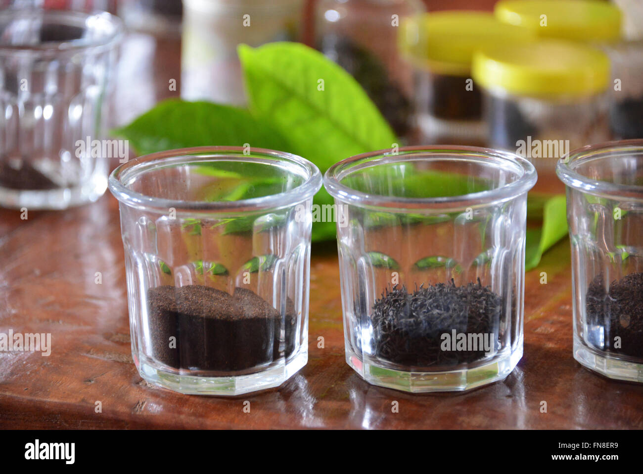 Limuru tea hi-res stock photography and images - Alamy