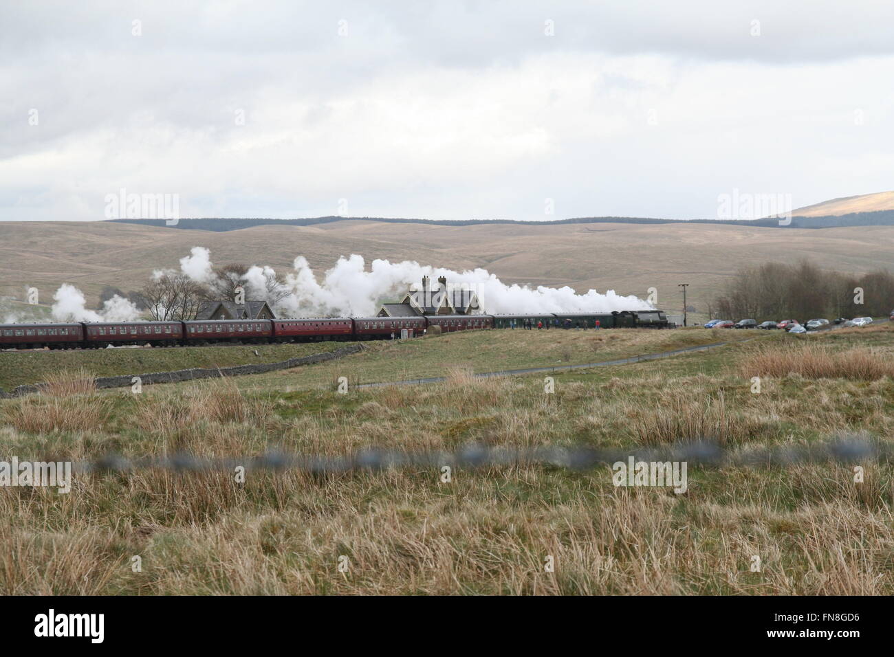 Steam Train with smoke billowing,passes the Ribblehead Station high on ...