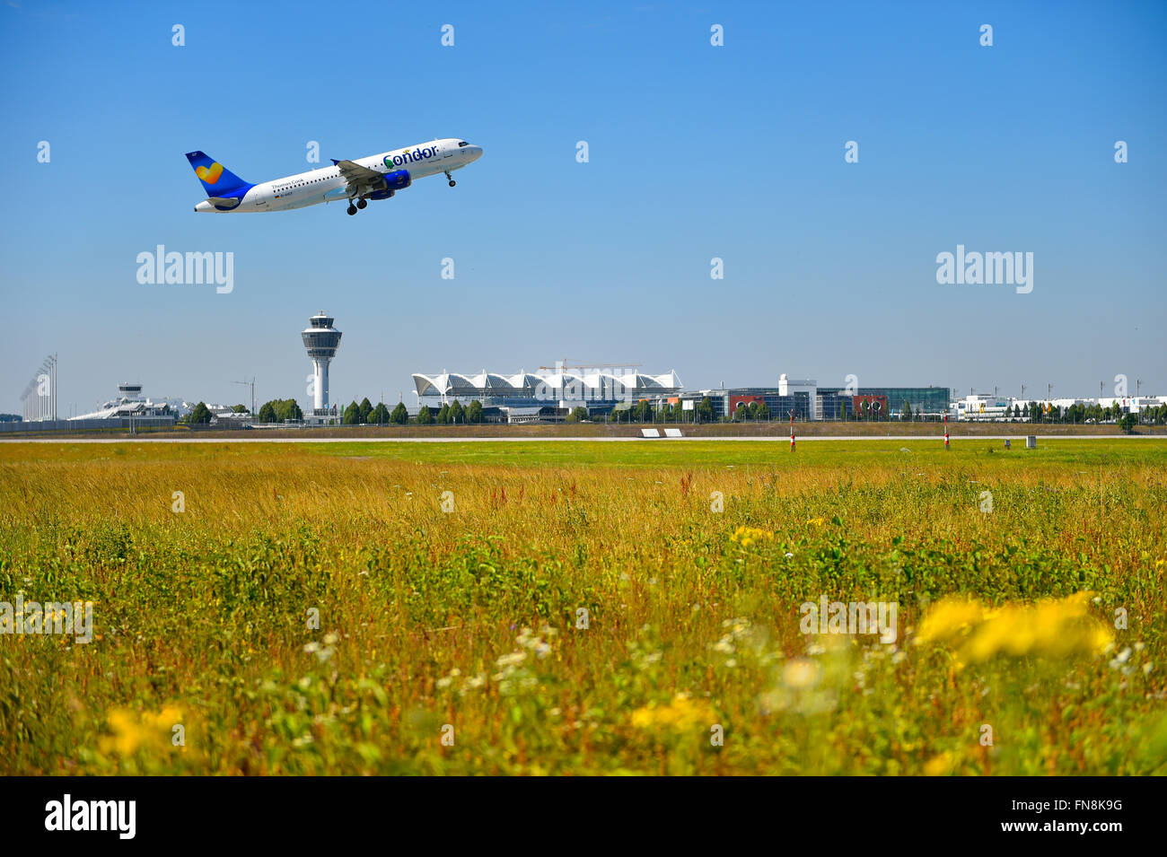 Condor, Airlines, Airbus, A 320, take of, take off, aircraft, airport ...