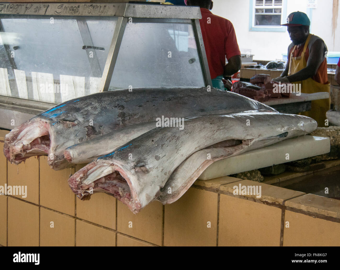 Marlin fish underwater hi-res stock photography and images - Alamy