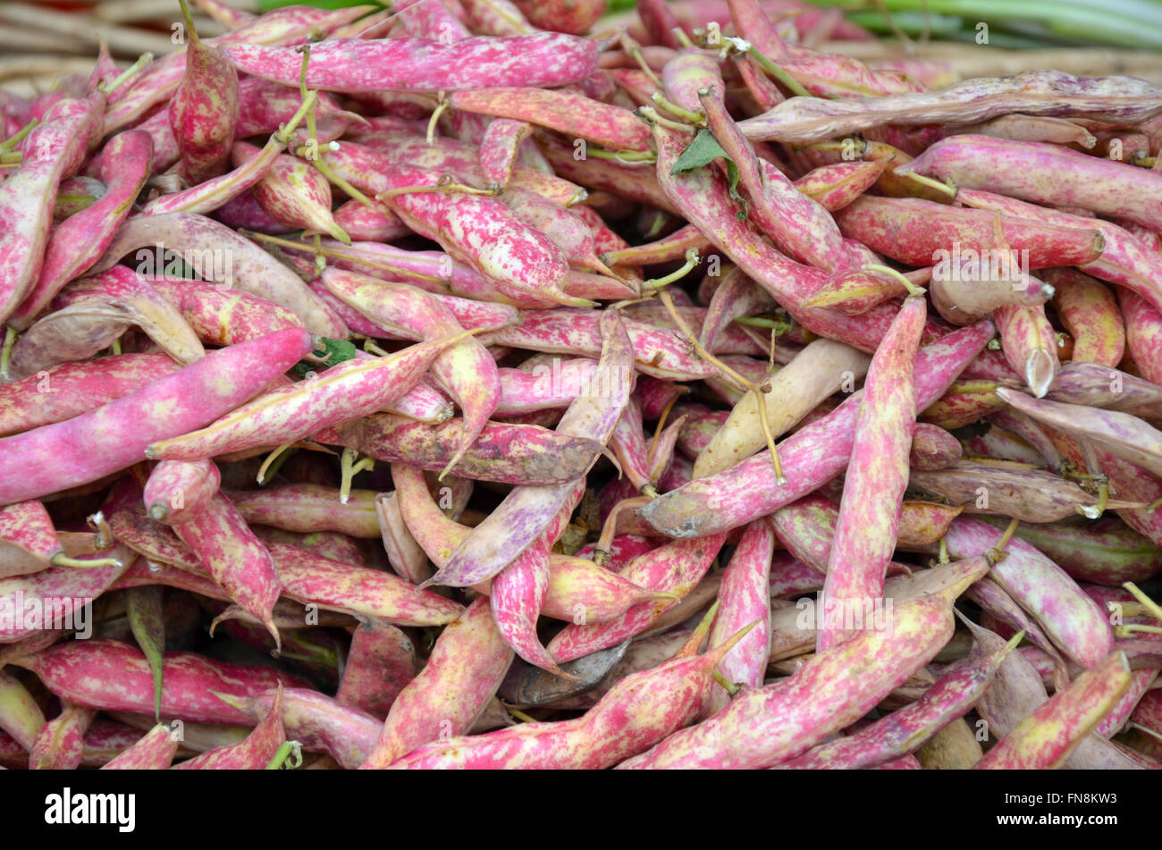 Pink and white beans background Stock Photo - Alamy