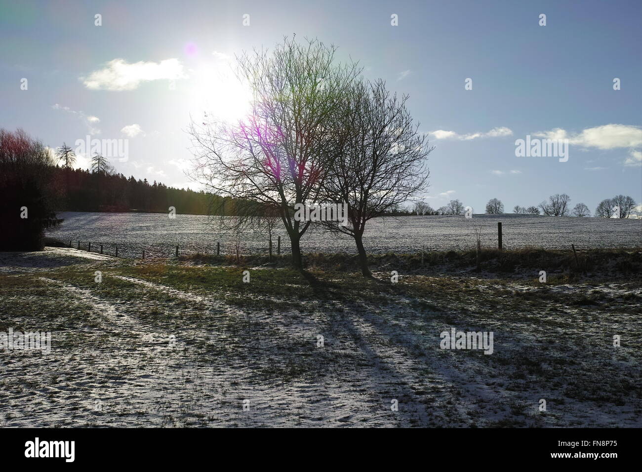 Nice winter landscape with trees snow hi-res stock photography and ...