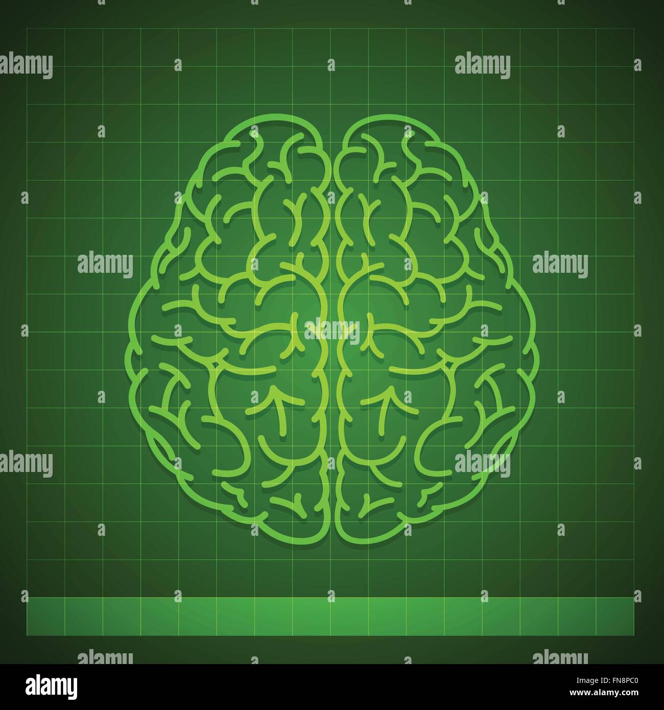 Vector Illustration of Human Brain Concept on Green Background Stock ...