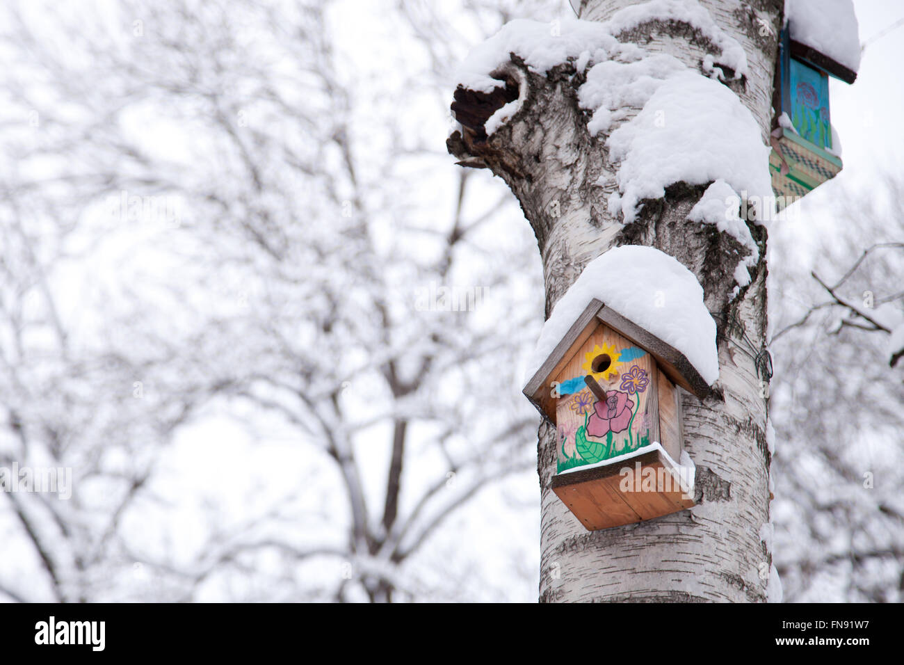 Tree trunk with a bird houses Stock Photo - Alamy