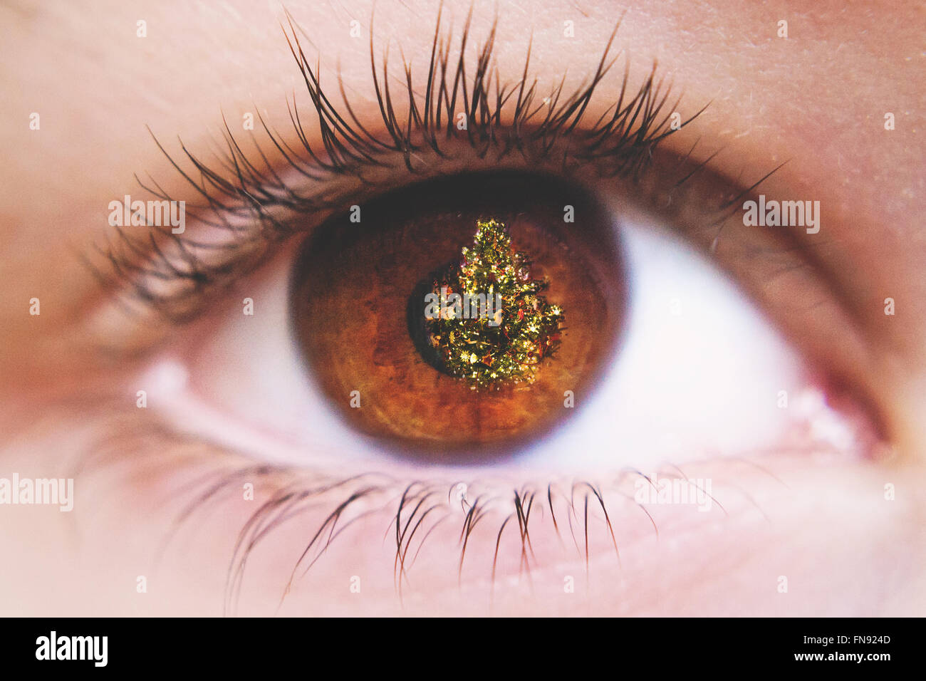Close up of refection of Christmas tree in a child's eye Stock Photo ...