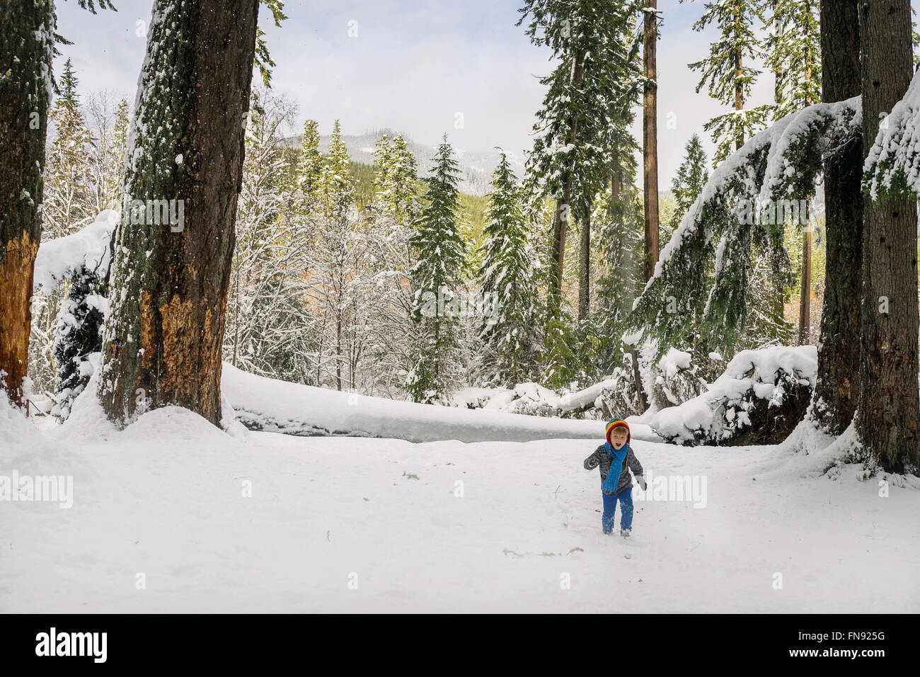 Boy in a landscape hi-res stock photography and images - Alamy