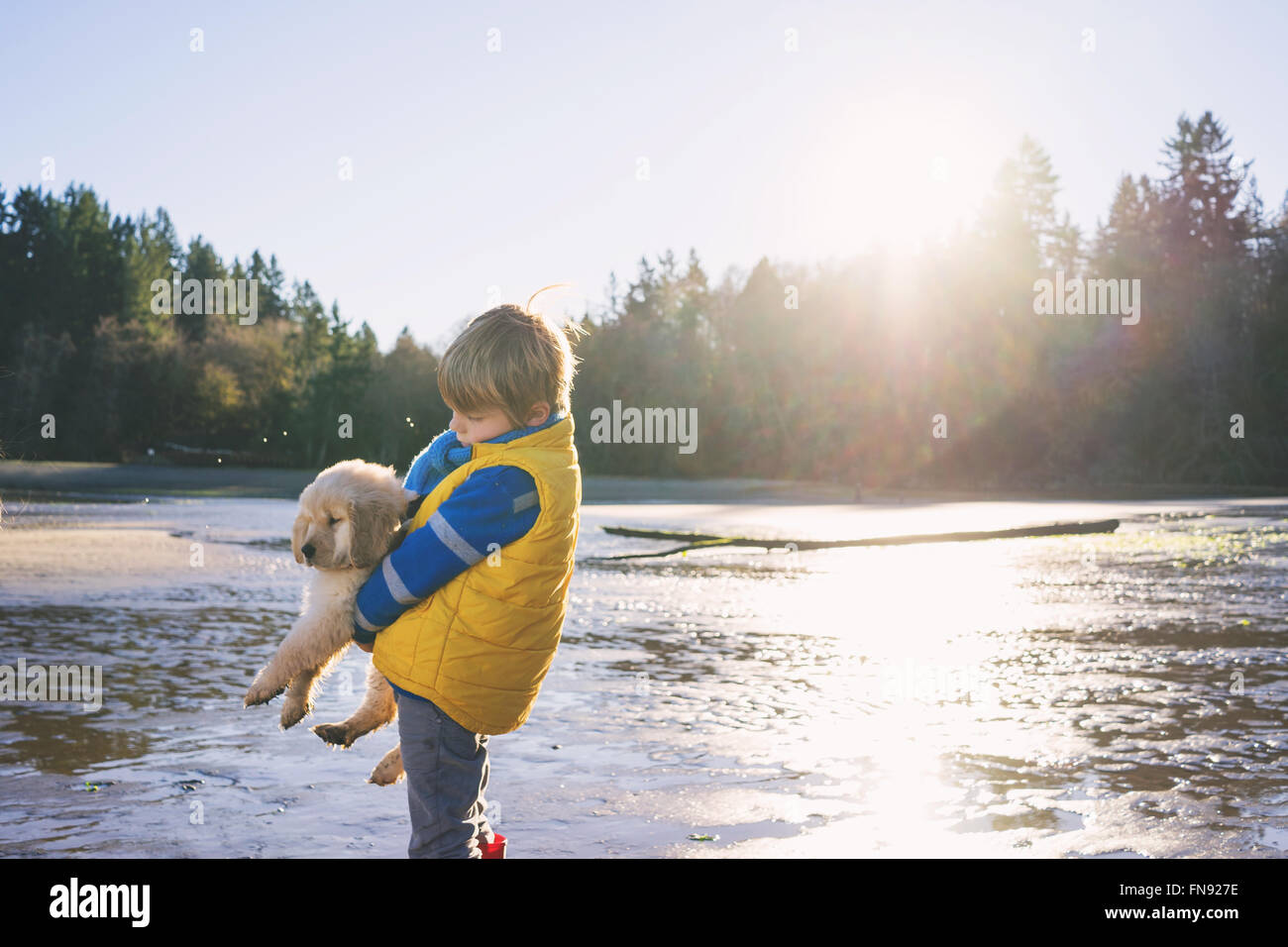 Person Carrying Dog High Resolution Stock Photography and Images - Alamy
