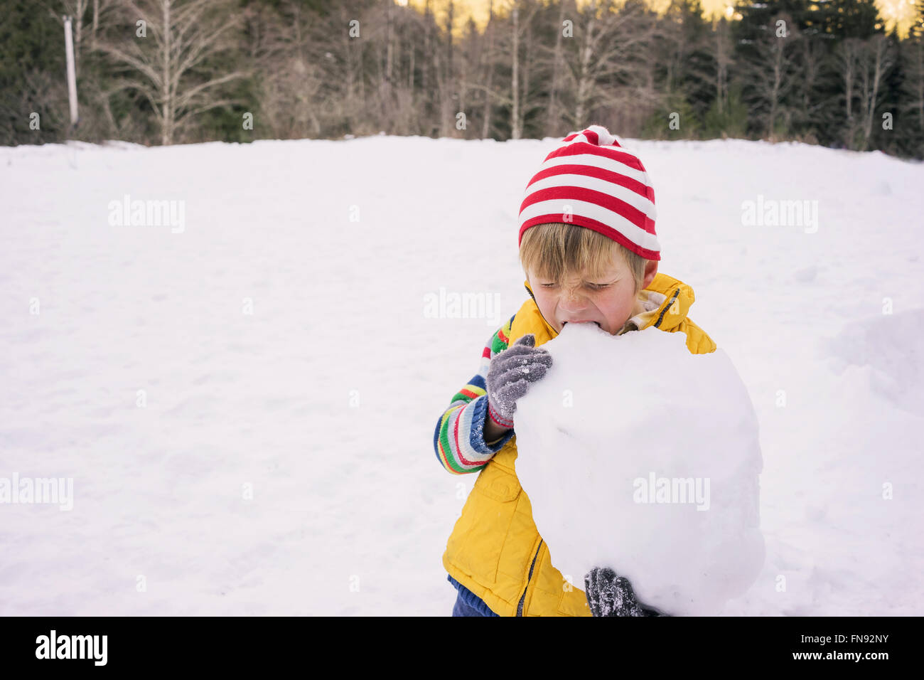 Boy eating snow Stock Photo - Alamy