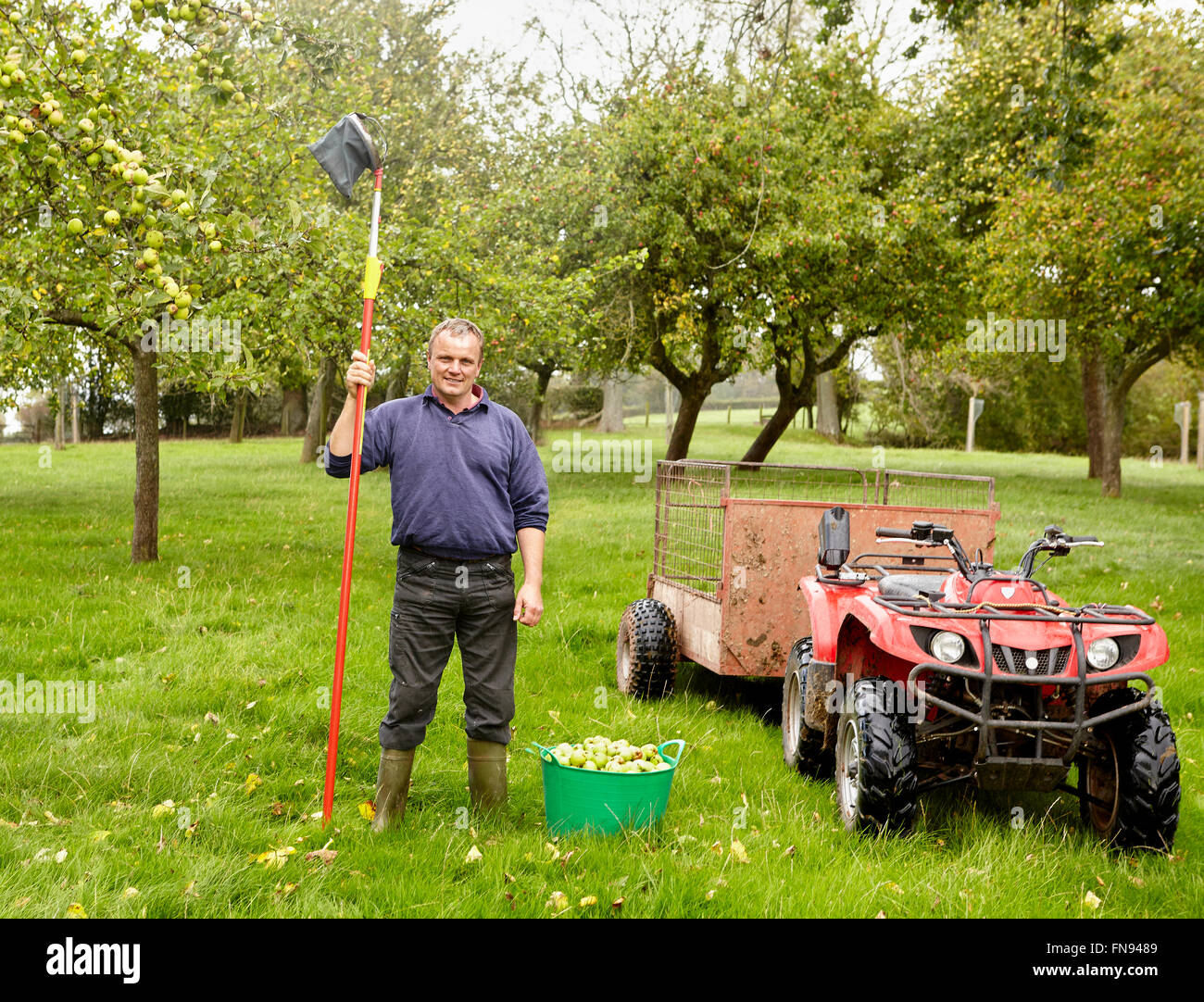 Long handled apple picker hi-res stock photography and images - Alamy