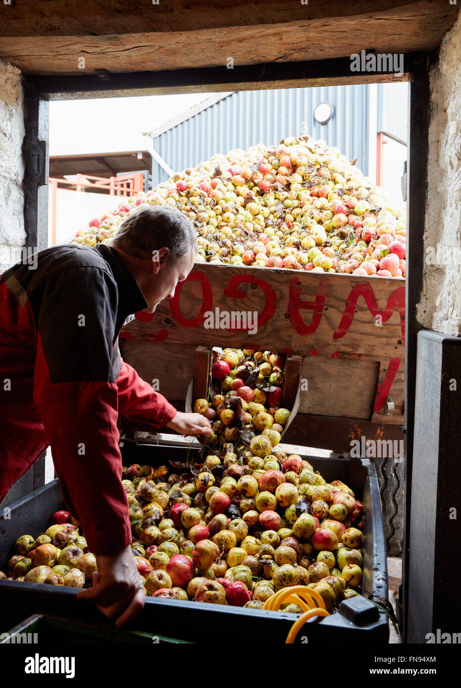 A family cider making business Stock Photo - Alamy