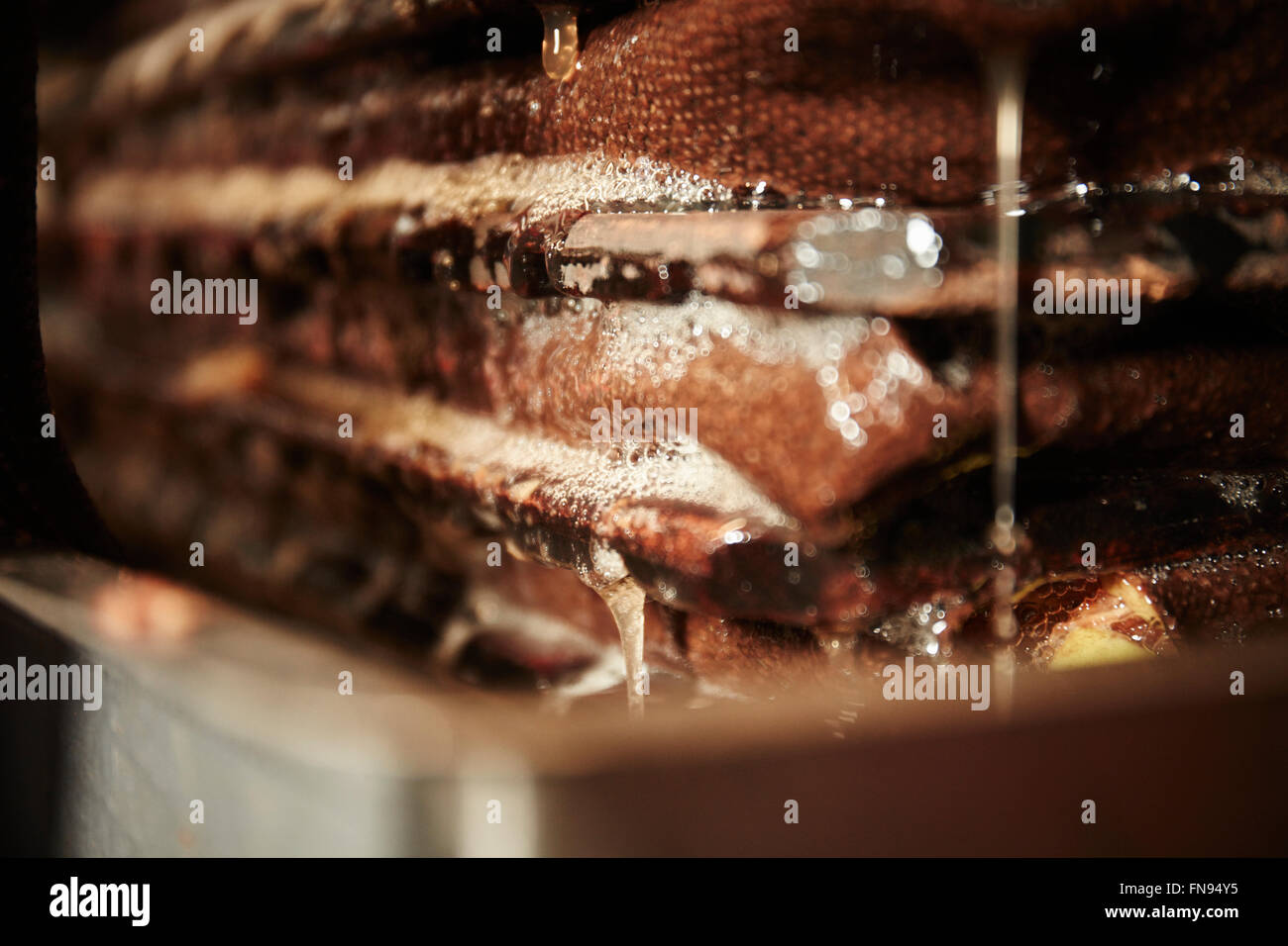 Extracting its pulp hi-res stock photography and images - Alamy