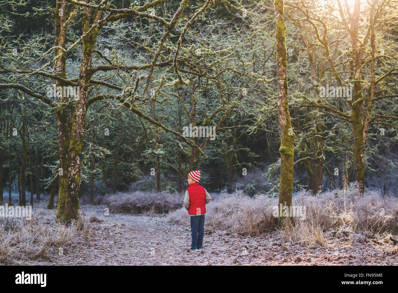 Boy is standing in the forest hi-res stock photography and images - Alamy