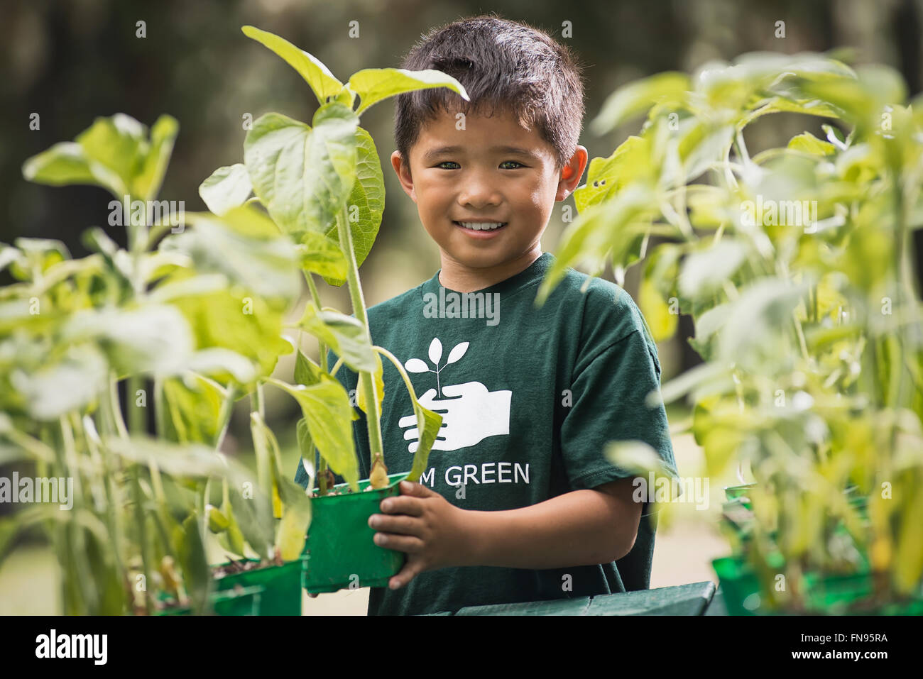 A boy with young plants in a plant nursery Stock Photo - Alamy