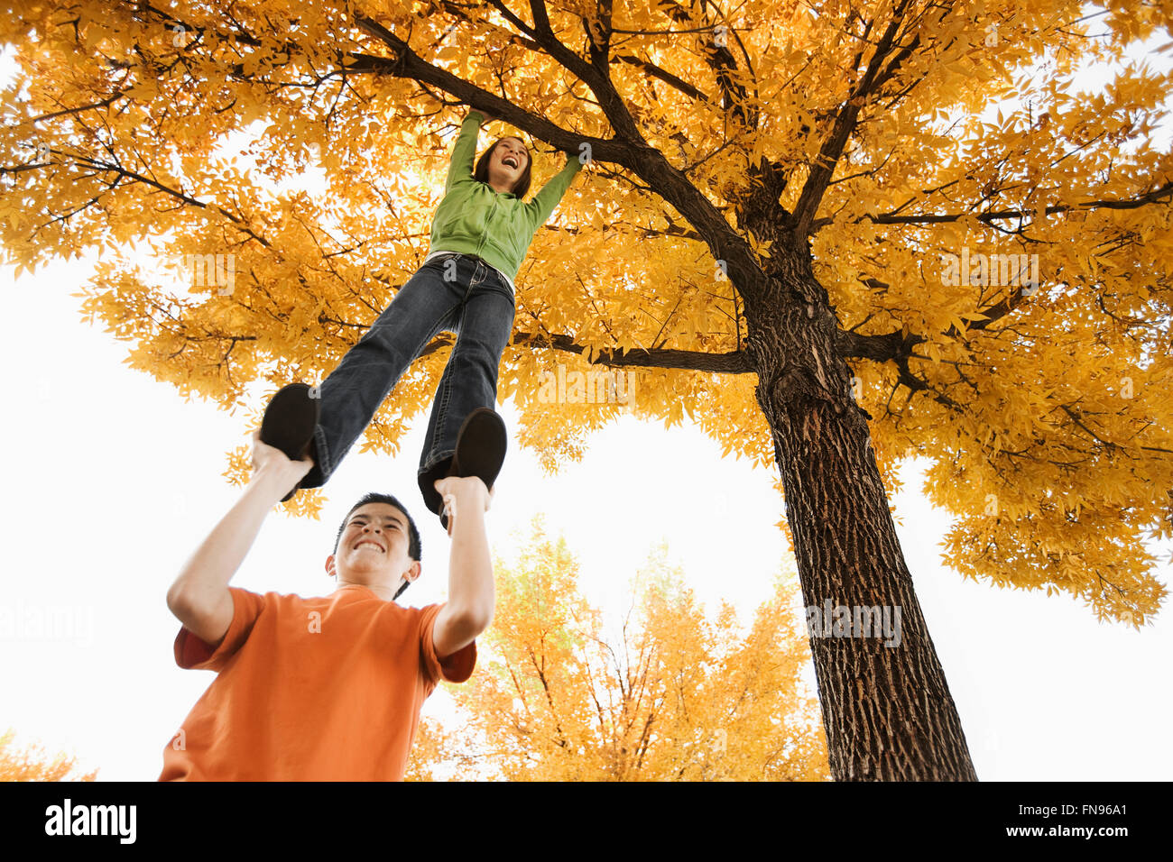 A girl hanging by her arms from a tree branch in autumn, and a boy ...