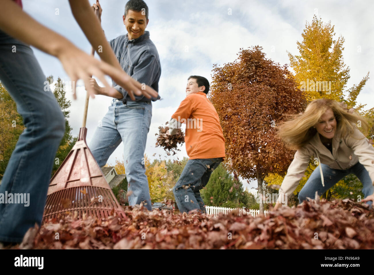 Man throwing leaves into air hi-res stock photography and images - Alamy