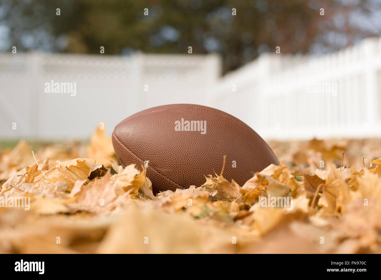 An oval football on the ground among autumn leaves Stock Photo - Alamy