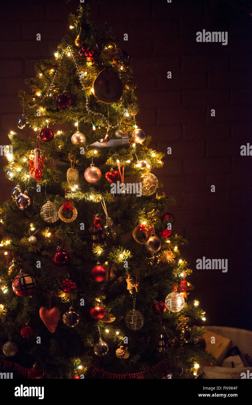 Real Christmas Trees With Lights