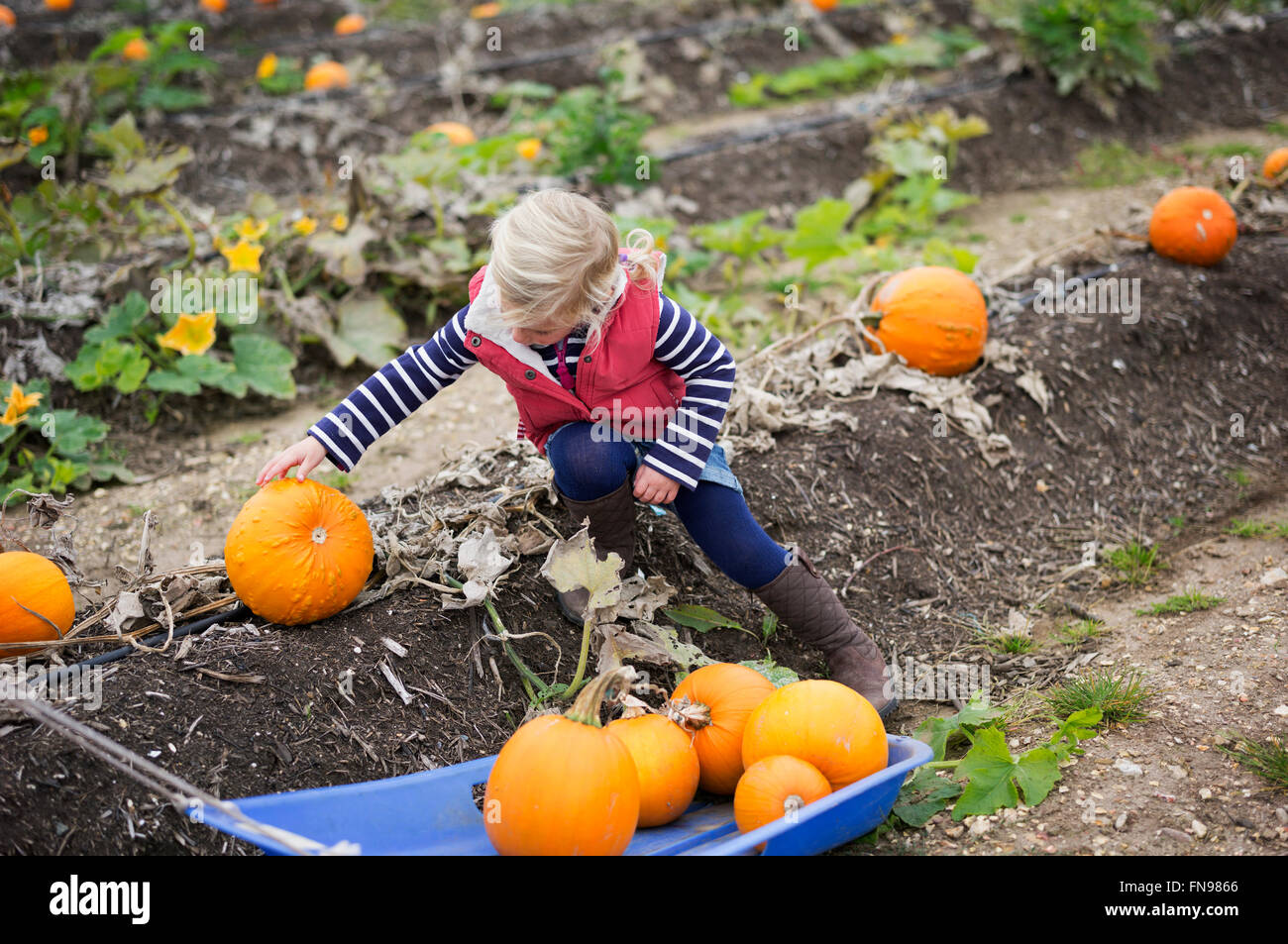 Pick your colour hi-res stock photography and images - Alamy