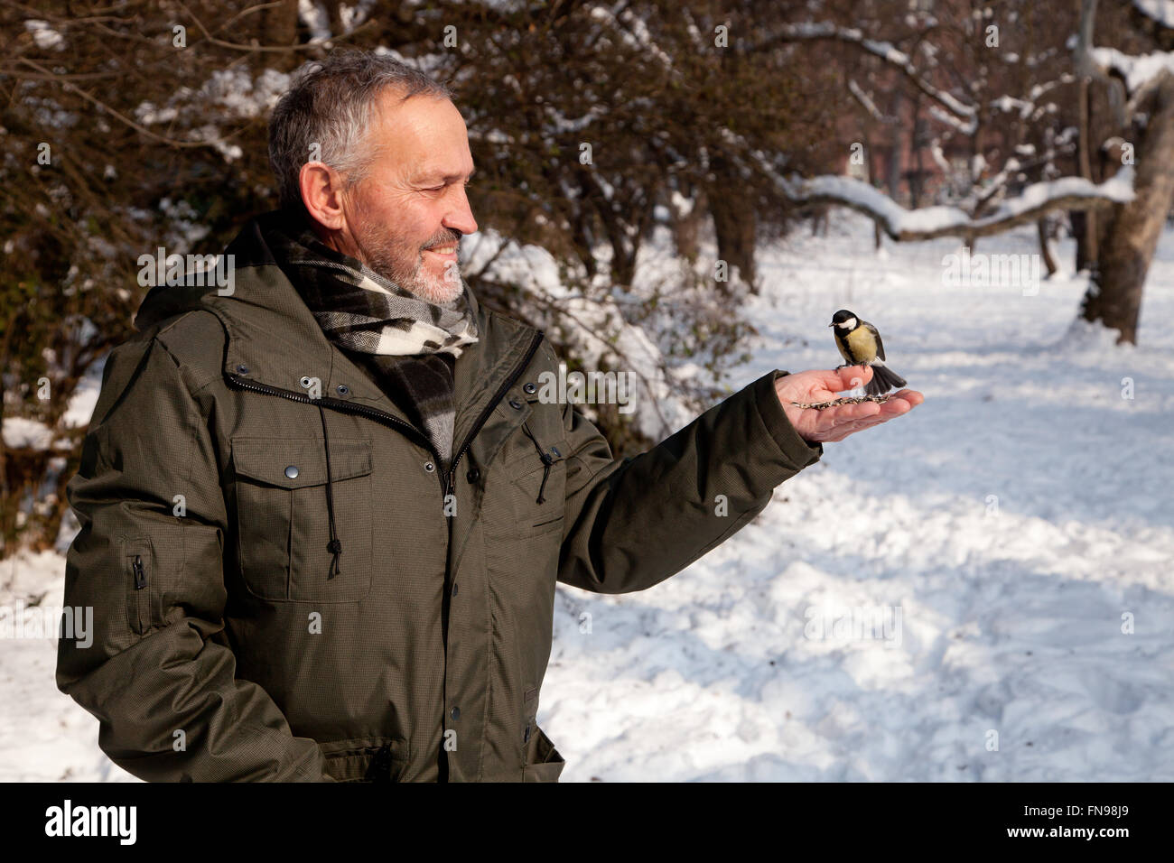 Feeding animals in a forest in winter hi-res stock photography and ...