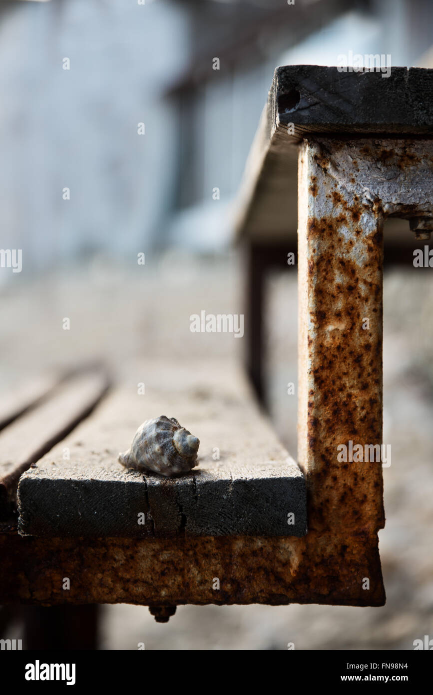 Rusty shell hi-res stock photography and images - Alamy