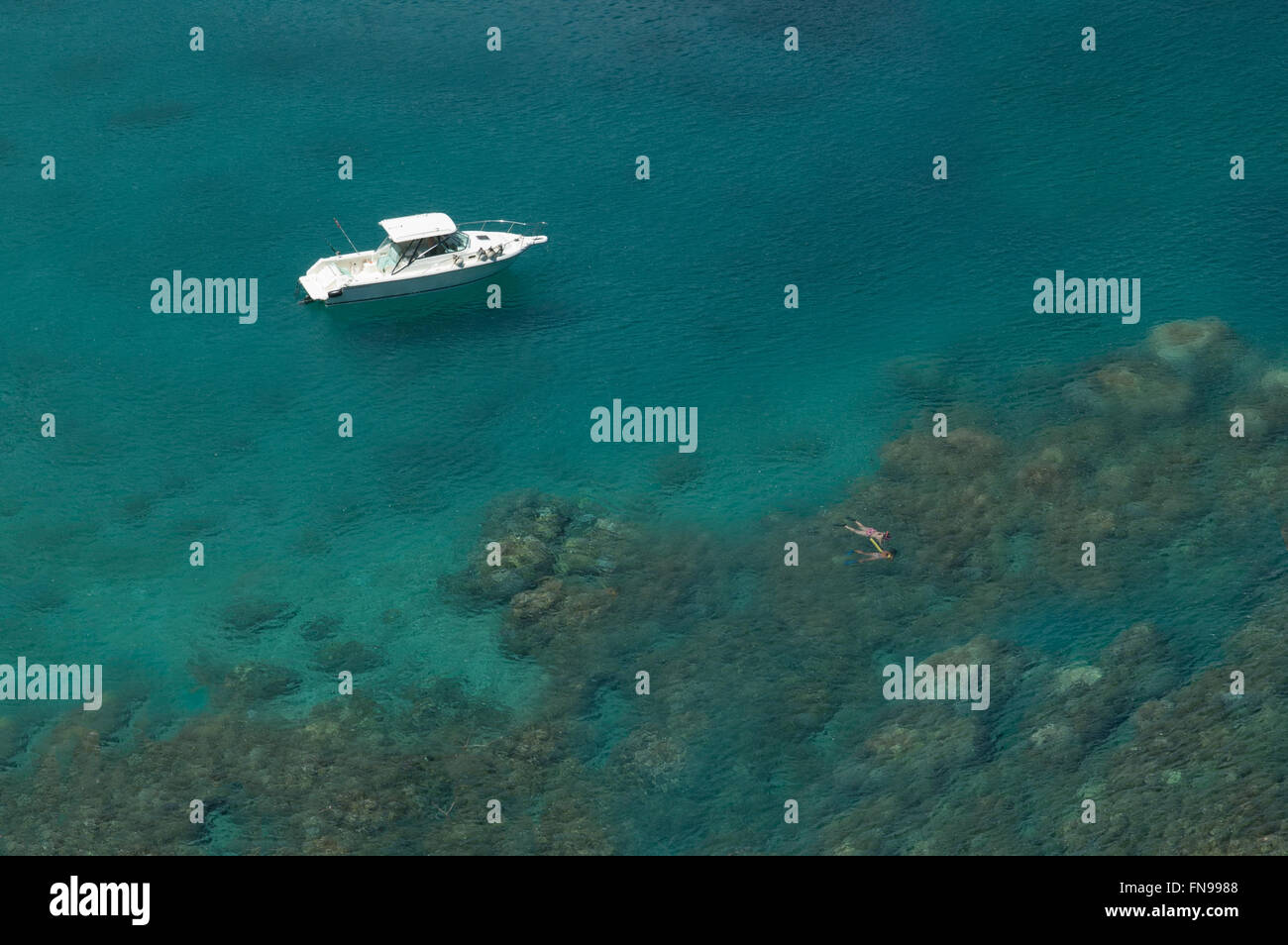 Overhead view of two people snorkeling, Maui, Hawaii, America, USA ...
